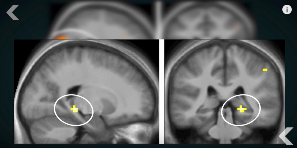 How GPS Is Affecting Our Brains..and It’s Not Good