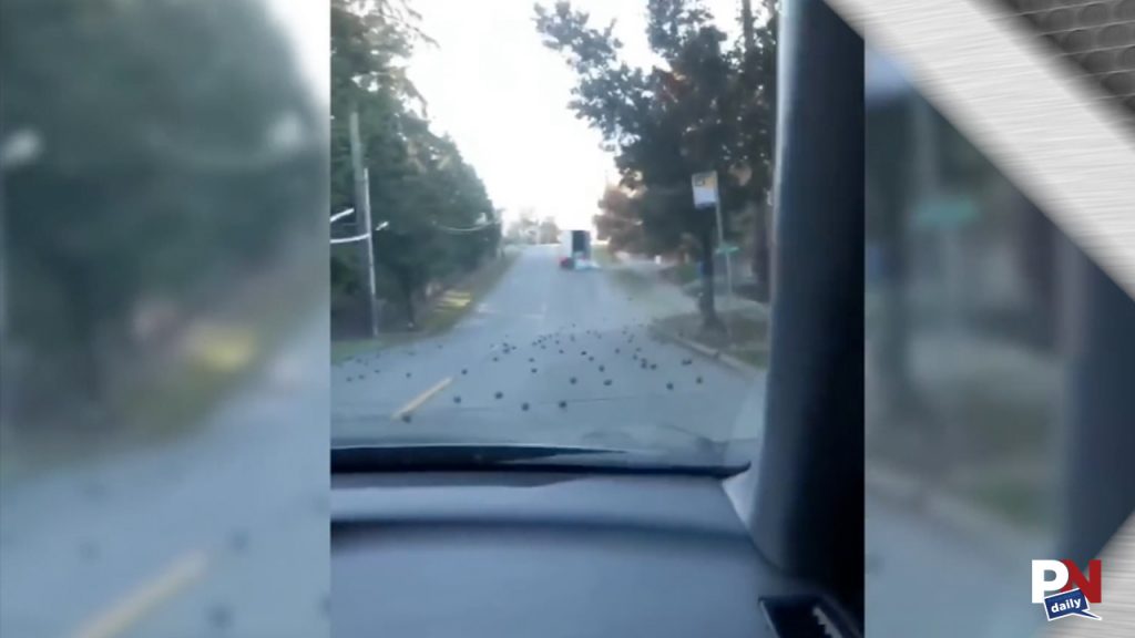 Caption This: A Seattle Road Was Taken Over By Flying Steel