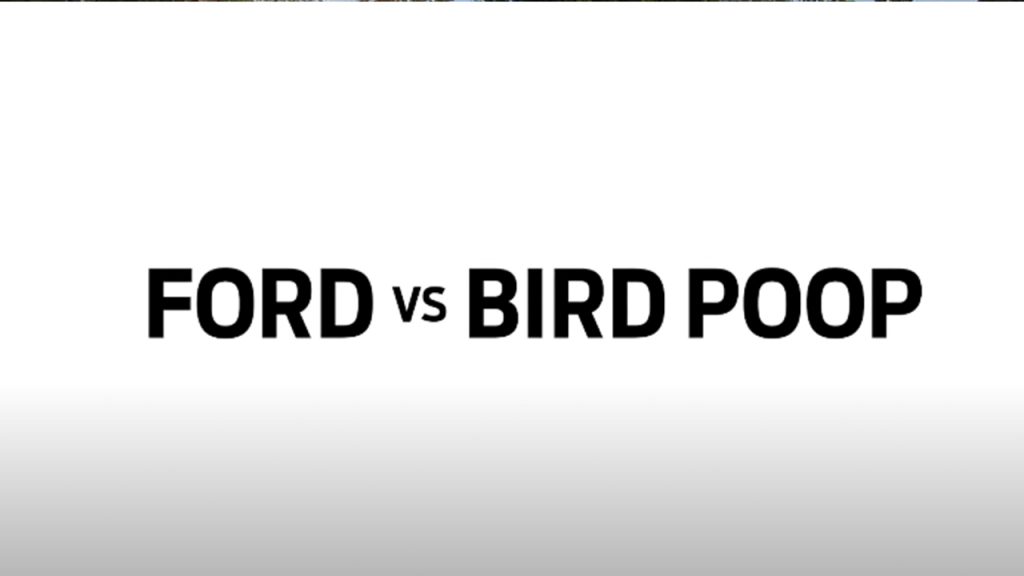 Ford Makes Its Own Bird Poop To Test On Paint Jobs
