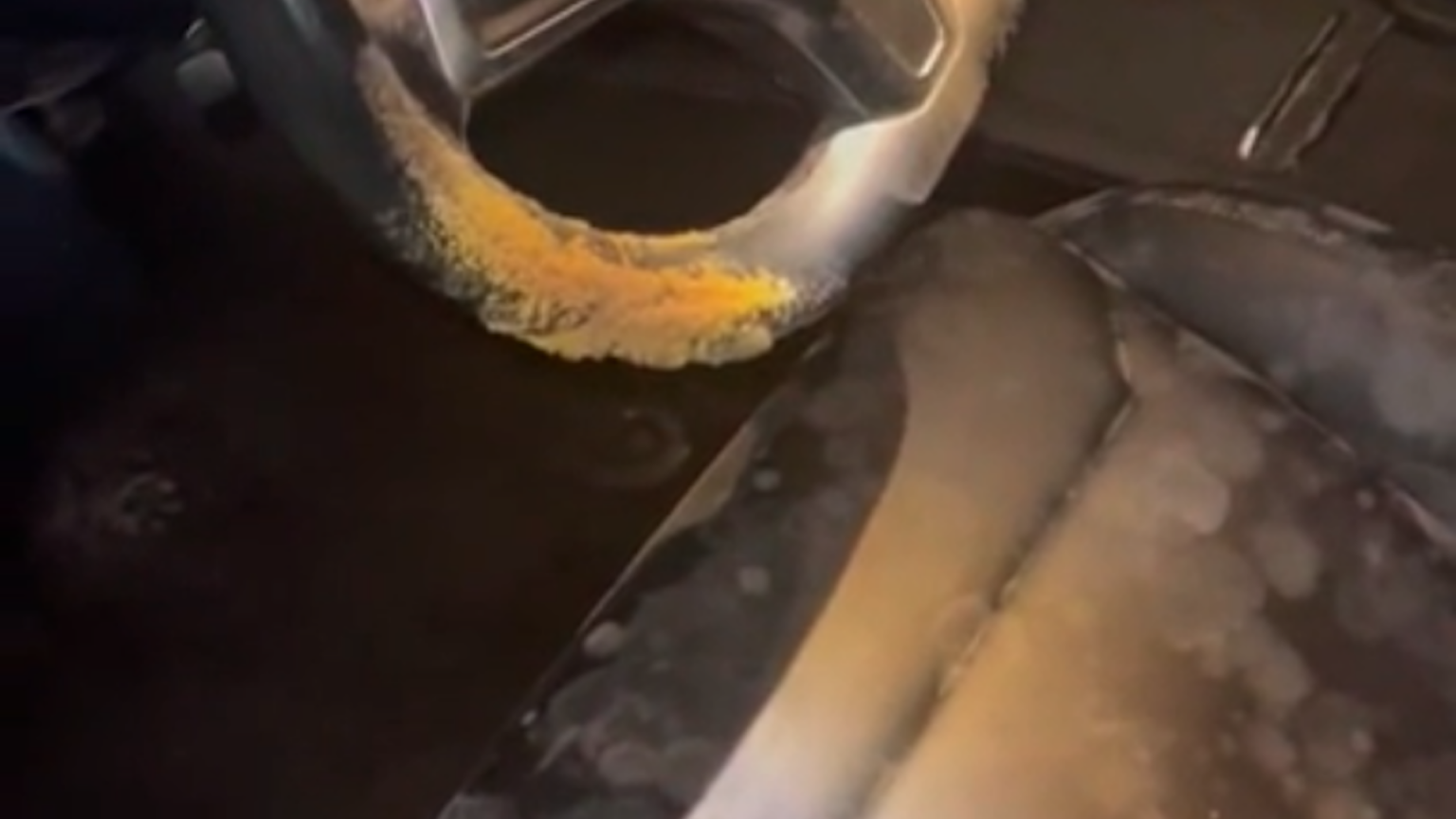 Guy Leaves His Tesla in a Garage for a Month, Returns to Find Interior ...