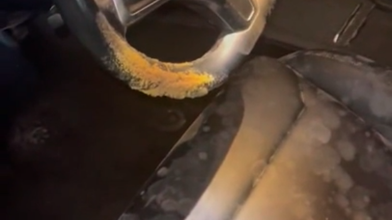 Guy Leaves His Tesla in a Garage for a Month, Returns to Find Interior ...