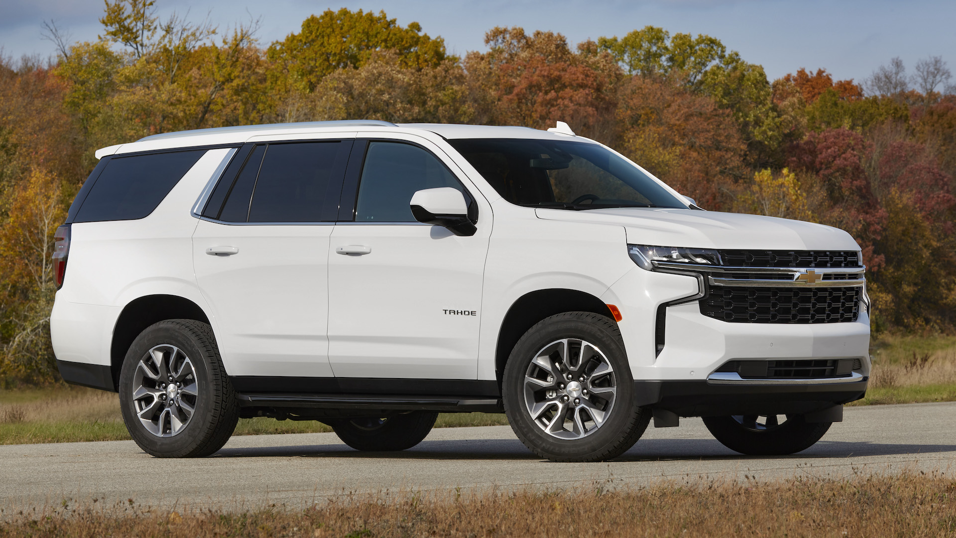 White is the Most Popular Car Color in the U.S. for 2022