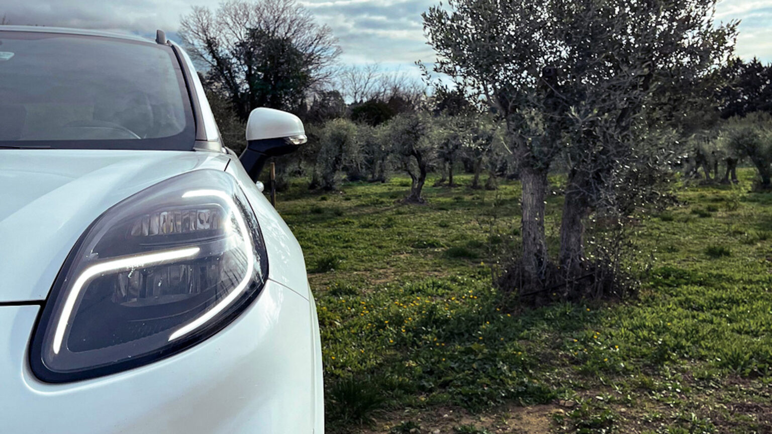 Ford Branches Out With Efforts to Build Renewable Auto Parts From Olive ...