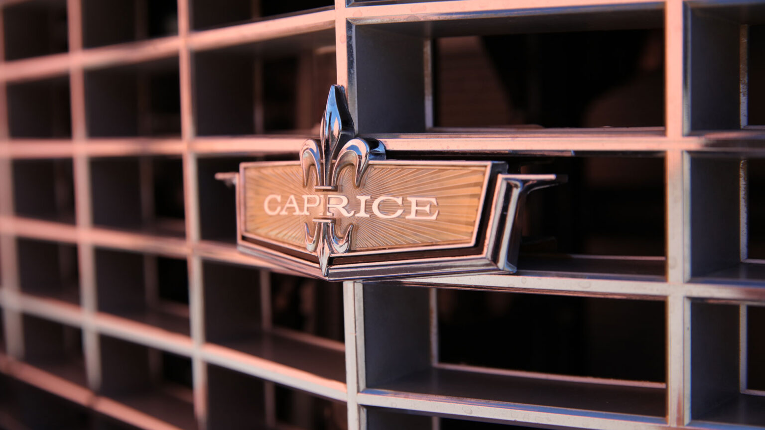 Fat Stack 1971 Caprice : Detroit Muscle