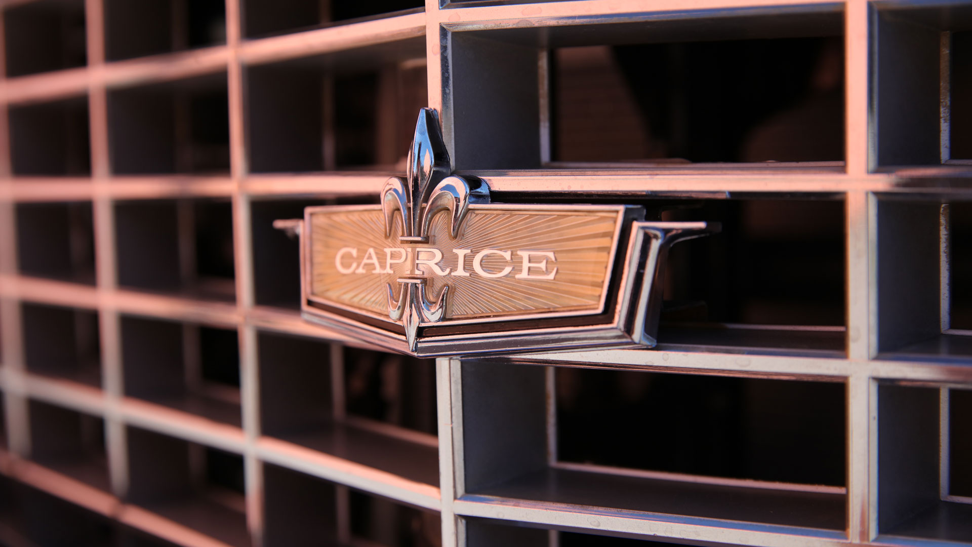 Fat Stack 1971 Caprice : Detroit Muscle